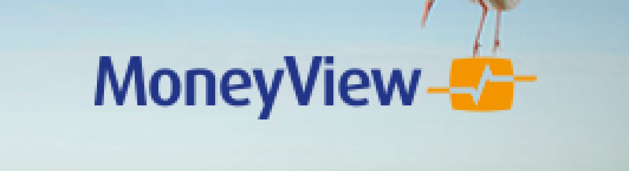 MoneyView – Bol-Advies: persoonlijk adviseur voor particulieren en ...